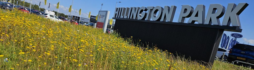 Hillington Park - Hirst Landscape Architects